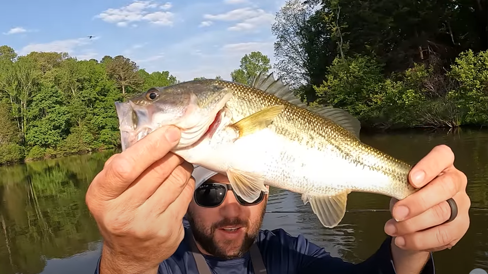 Tips & Techniques - Pure Flats LLC